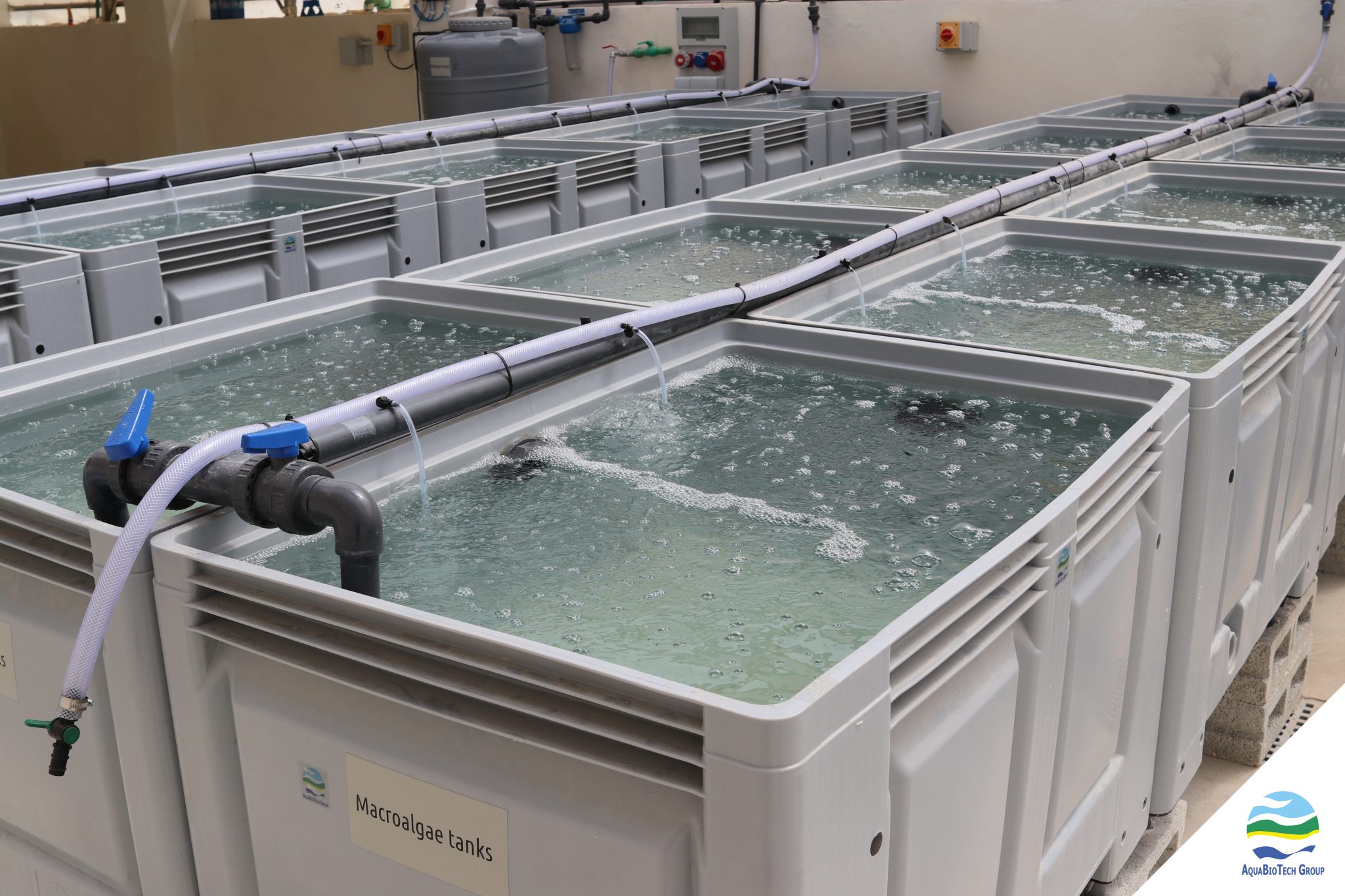 Let's Talk Farming collaboration with AquaBioTech Group - AquaBioTech Group