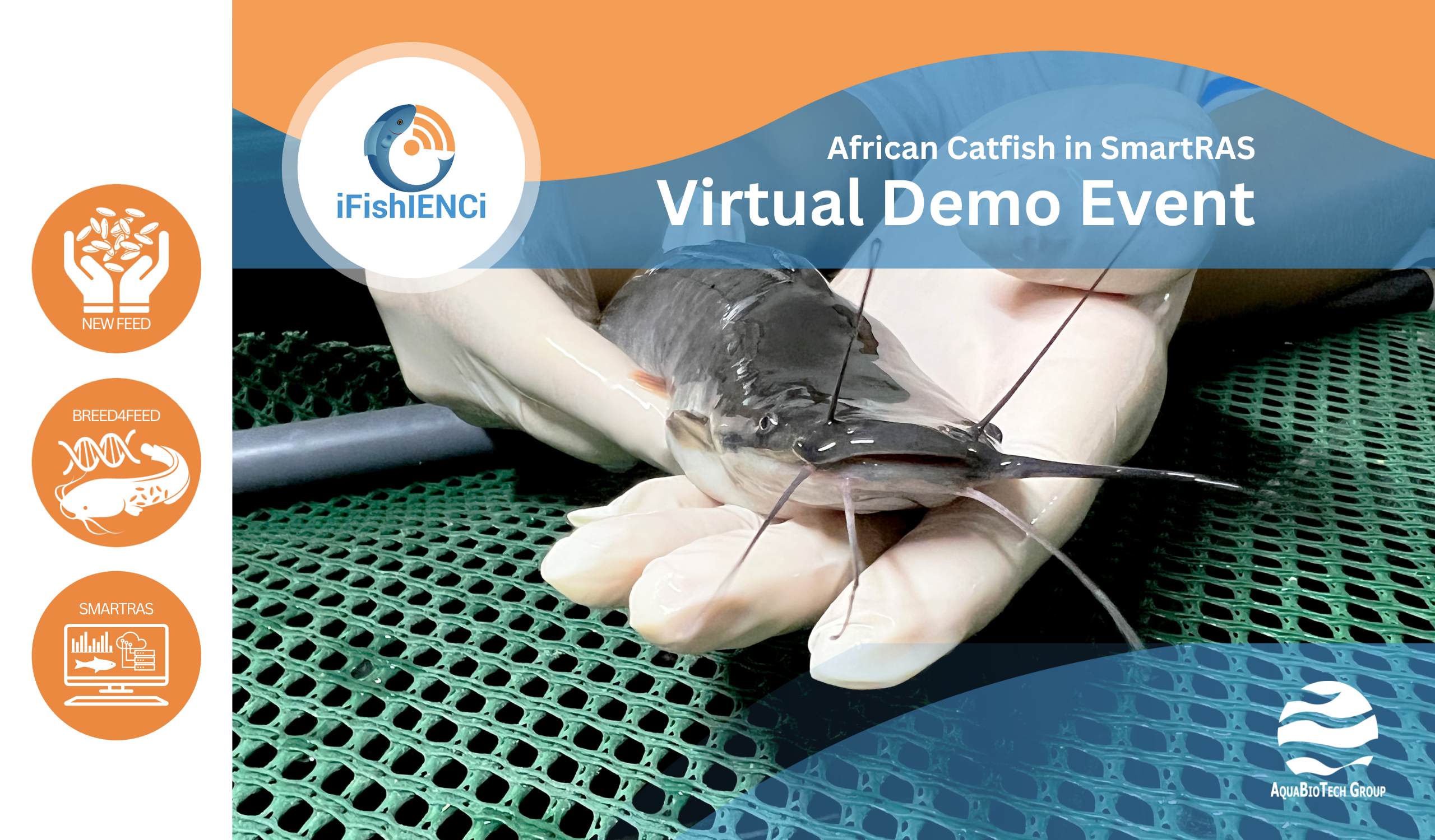 African Catfish in SmartRAS" an iFishIENCi Virtual Demo Event ...